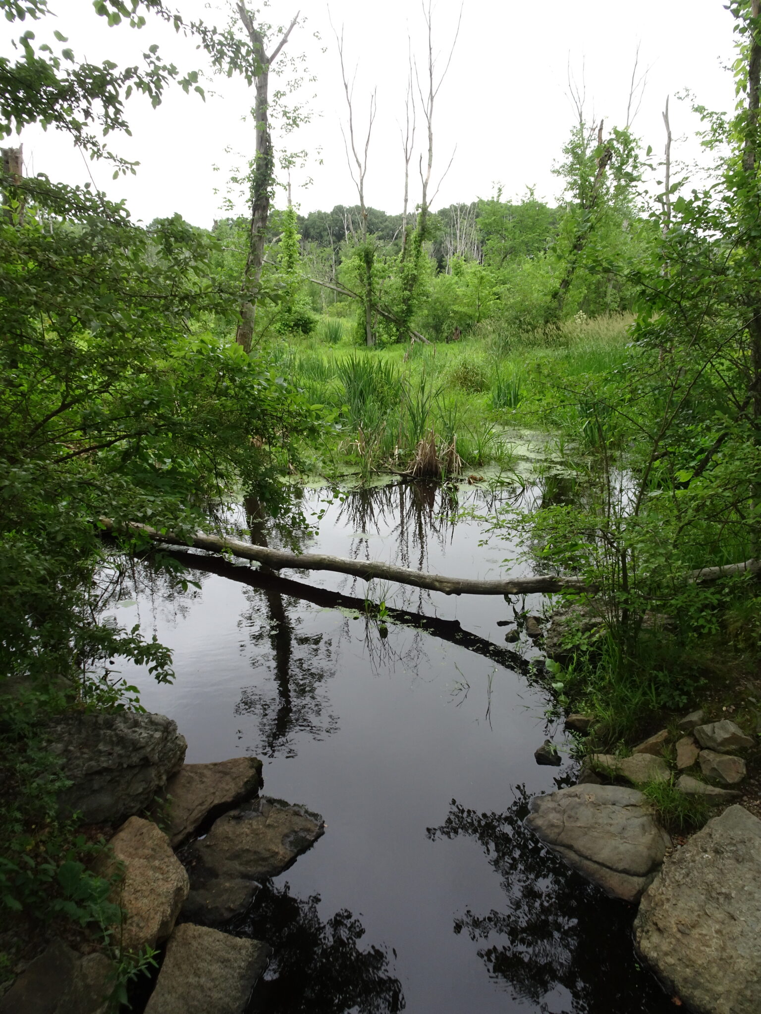 New Brook Farm – A sustainable agricultural, educational, and ...